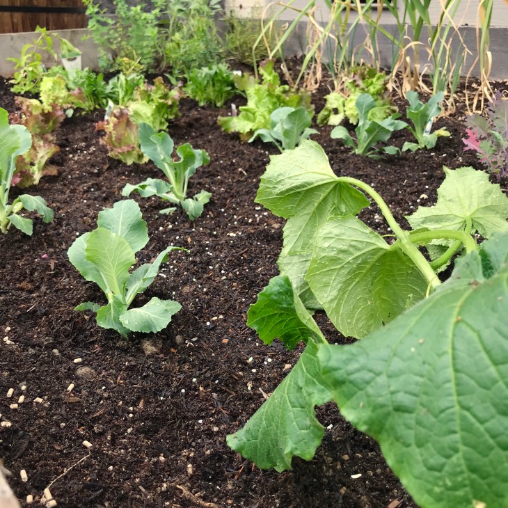 The Fabric Alchemist – Sewing Cosplay and for Everyday